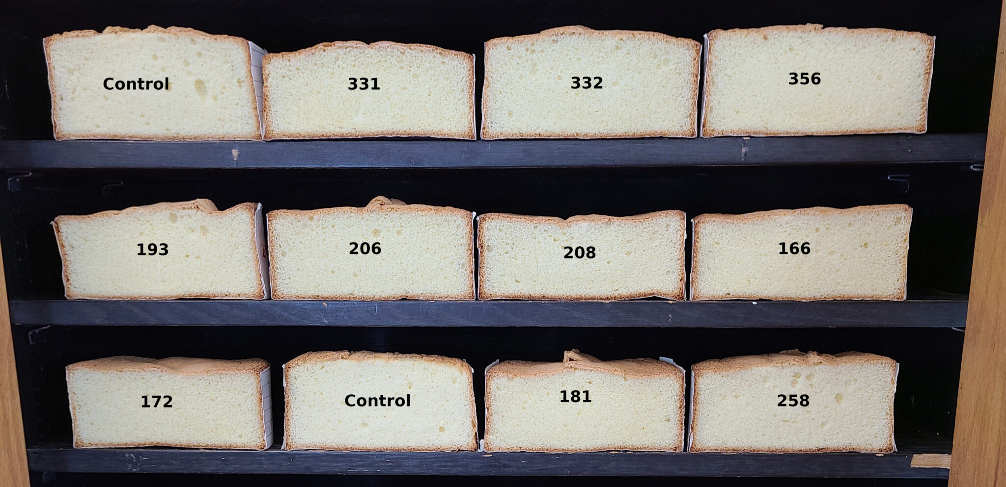 Rising to the challenge of falling numbers - WA Grains