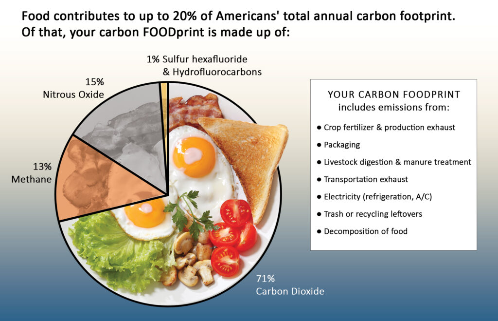 Finding foodprint harmony - WA Grains