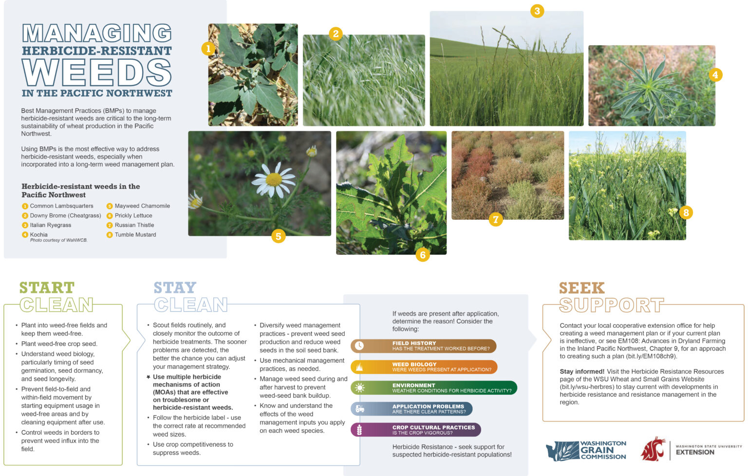 Managing herbicide-resistant weeds - WA Grains