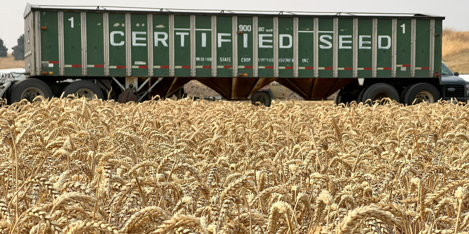 Certifiably the best - WA Grains
