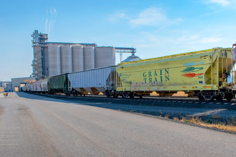 Transportation is essential - WA Grains