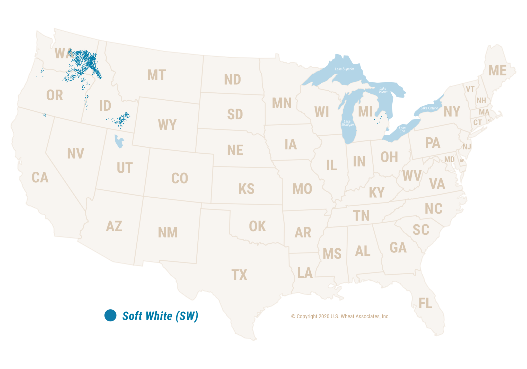 US soft white wheat quality - WA Grains
