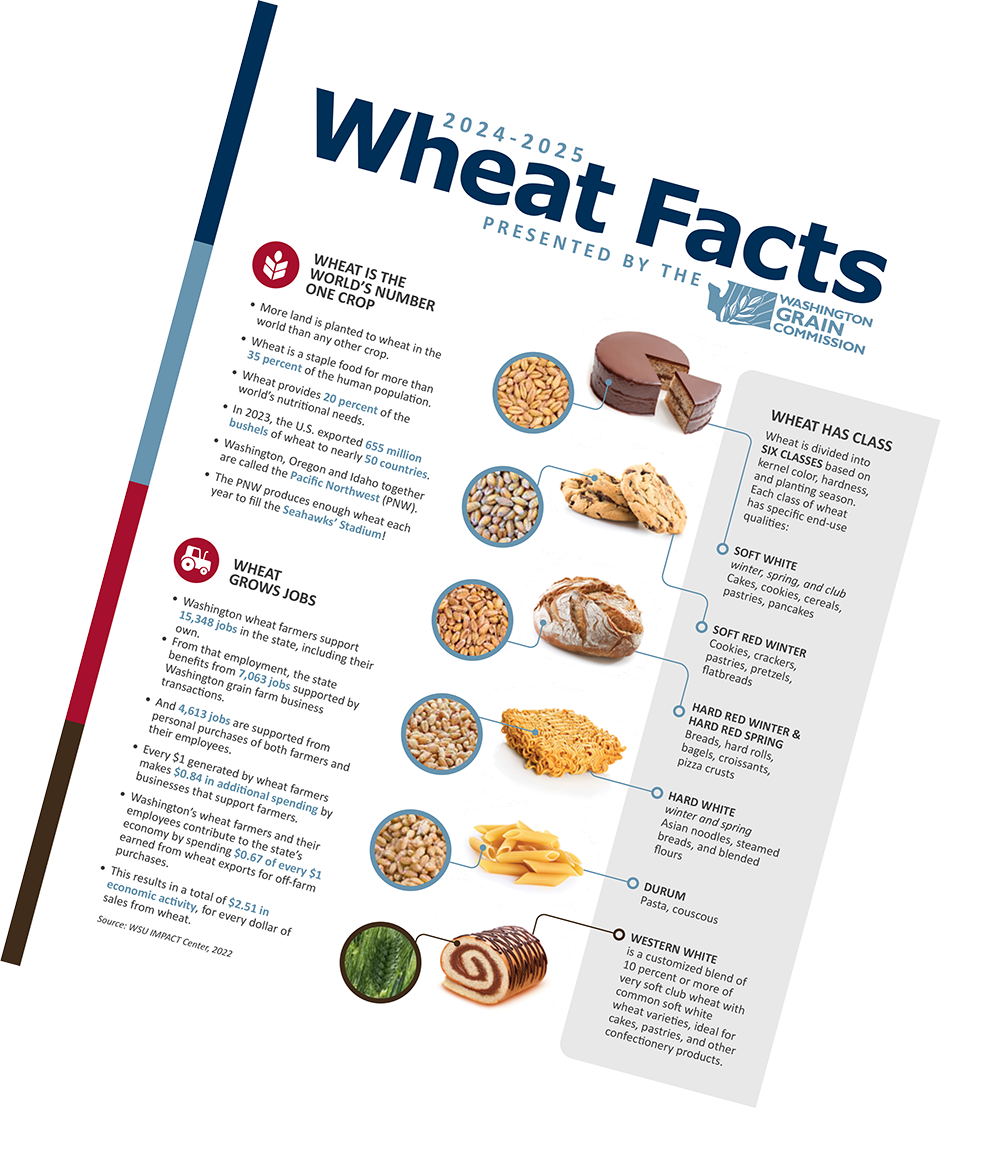 Wheat - WA Grains